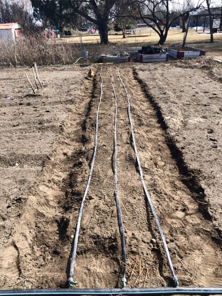 Why dripper hose is the best way to irrigate – Grow It Now